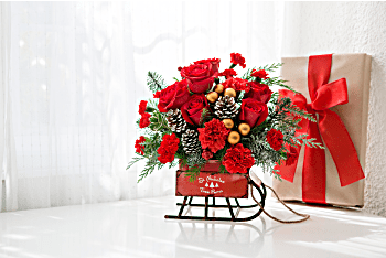 Looking for Christmas Gift Ideas? | Teleflora