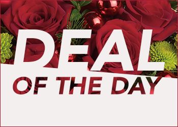 Flowers | Flower Delivery | Send Flowers Online | Teleflora