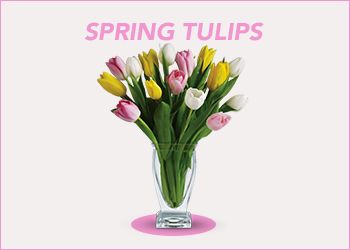 Flowers | Flower Delivery | Send Flowers Online | Teleflora