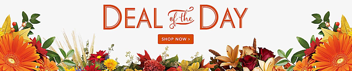 Flowers | Flower Delivery | Send Flowers Online | Teleflora