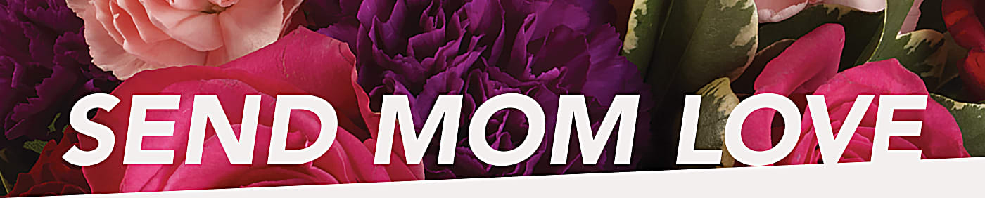 Fingerhut Teleflora Flower Club | Best Flower Site