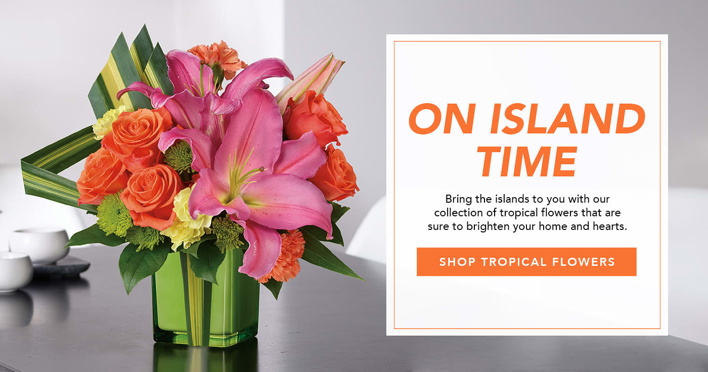 Fingerhut Teleflora Flower Club - Home Alqu