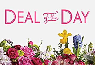 Fingerhut Teleflora Flower Club | Best Flower Site
