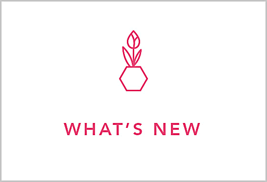 Teleflora | Order Flower Delivery Online | Flowers Near Me