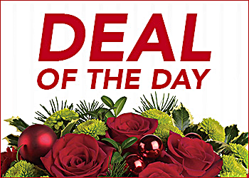 Flowers | Flower Delivery | Send Flowers Online | Teleflora