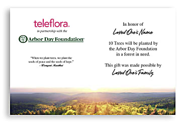 Memorial Trees by The Arbor Day Foundation - Teleflora