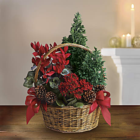 Tannenbaum Basket - Teleflora