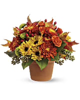 Sugar Maples Flower Arrangement - Teleflora