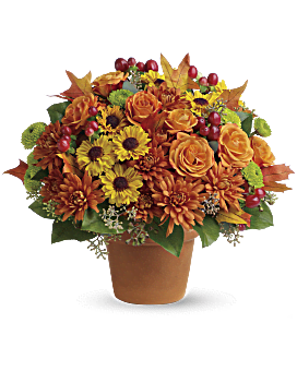 Sugar Maples Flower Arrangement - Teleflora