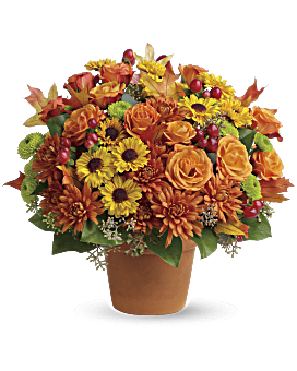 Sugar Maples Flower Arrangement - Teleflora