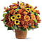 Sugar Maples Flower Arrangement - Teleflora