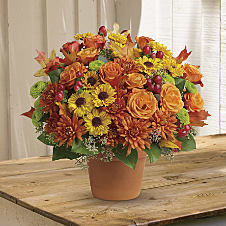 Sugar Maples Flower Arrangement - Teleflora