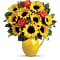 Teleflora's Sunny Day Pitcher of Sunflowers - Teleflora