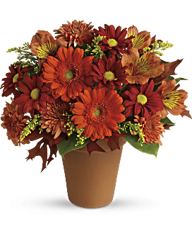 Sugar Maples Flower Arrangement - Teleflora