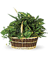 Large Basket Garden - Teleflora