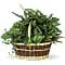 Large Basket Garden - Teleflora