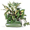 Small Garden Dish Flower Arrangement - Teleflora
