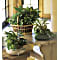 Small Garden Dish Flower Arrangement - Teleflora