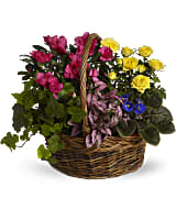 Blooming Garden Basket - Teleflora