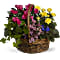 Blooming Garden Basket - Teleflora