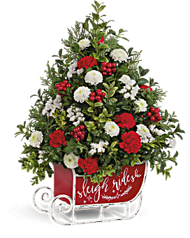 Christmas Flowers Same Day Delivery | Teleflora