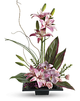 Imagination Blooms with Cymbidium Orchids Flower Arrangement - Teleflora