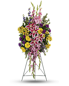 Pink Tribute Spray Sympathy Arrangement - Teleflora