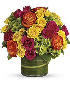 New Sensations Bouquet - Teleflora