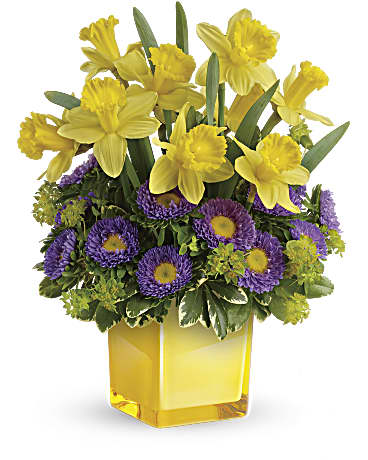 Teleflora's Playful Springtime Daffodil Bouquet - Teleflora