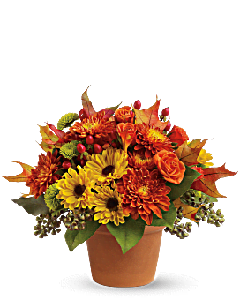 Flowers | Flower Delivery | Send Flowers Online | Teleflora