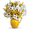 Teleflora's Sunny Day Pitcher of Daisies Flower Arrangement - Teleflora